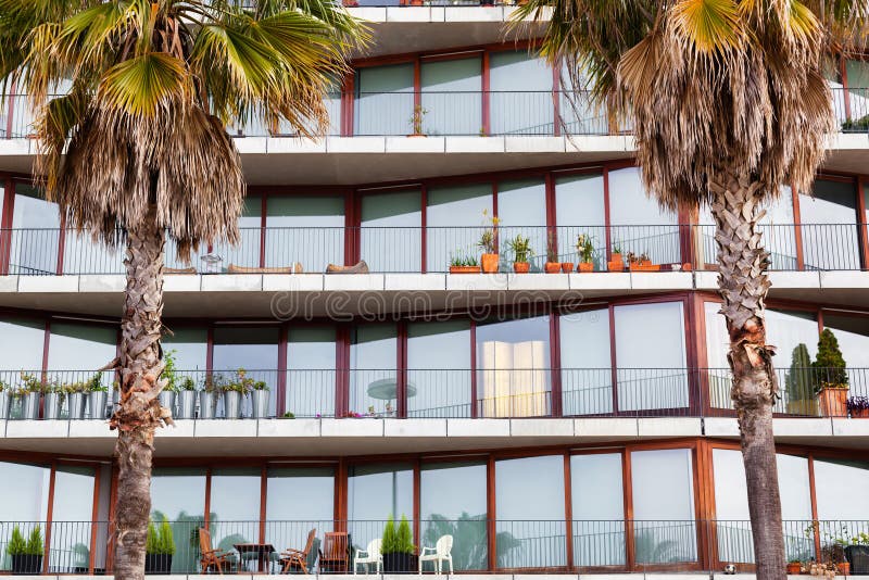 Facade of a Hotel with Palm Trees in Front Stock Photo - Image of ...