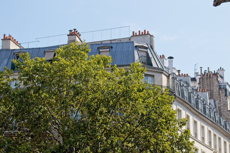 Facade of the House in Paris Stock Image - Image of tree, europe: 215491083