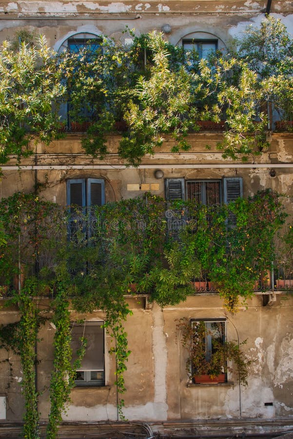 Facade of a Milanese Building, with Climbing Plants and Flowers. Stock ...