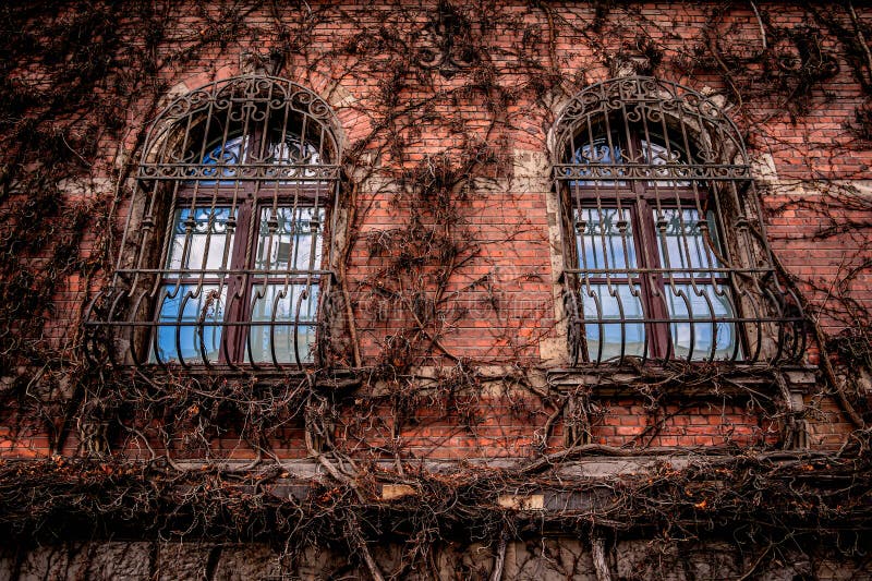 Facade of a Old European Historical Building with Vintage Windows and ...