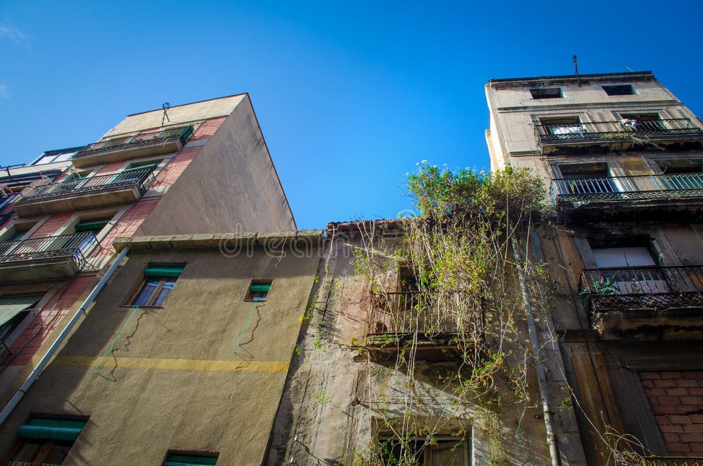 Facade with overgrown ivy stock photo. Image of desolate - 36002798