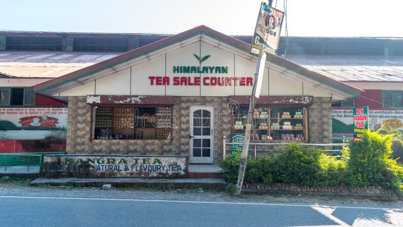 Tea Garden Palampur Himachal Pradesh Stock Photo - Image of india ...