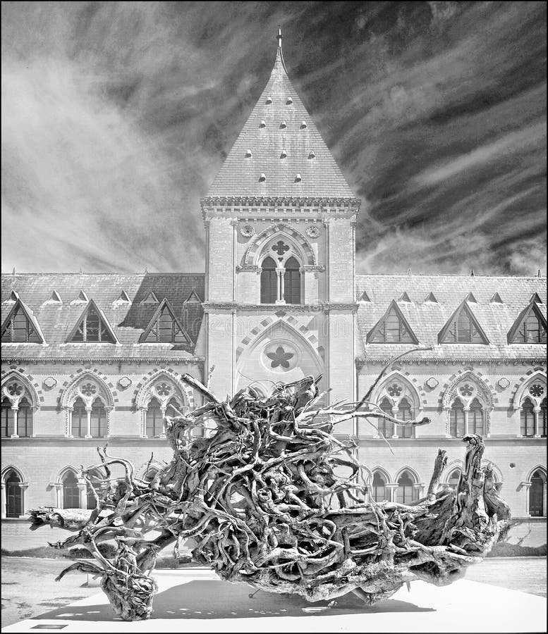 Facade of Pitt Rivers Museum As Background To Tree Stock Photo - Image ...