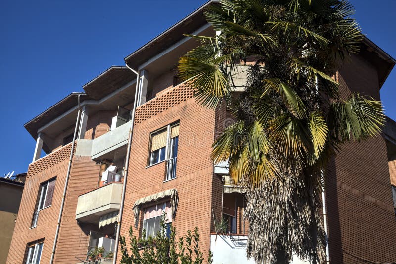 Facade of a Residential Building with a Palm Tree Stock Image - Image ...