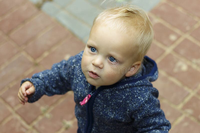 Face of Adorable Little Kid Looking Up Stock Photo - Image of ...
