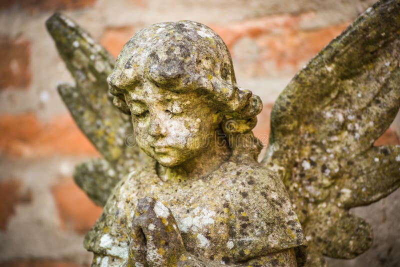Face of angel stock image. Image of christians, wings - 124819509