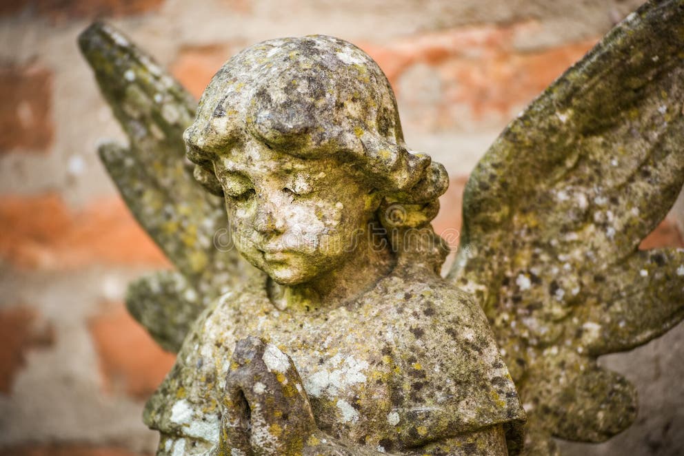 Face of angel stock image. Image of christians, wings - 124819509