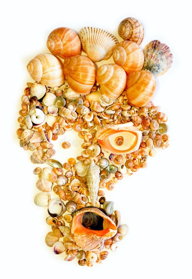 Face art. stock photo. Image of model, makeup, shell - 44916386