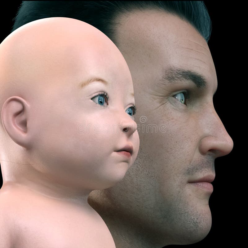 Face, Cheek, Nose, Chin stock image. Image of eyebrow - 134930515