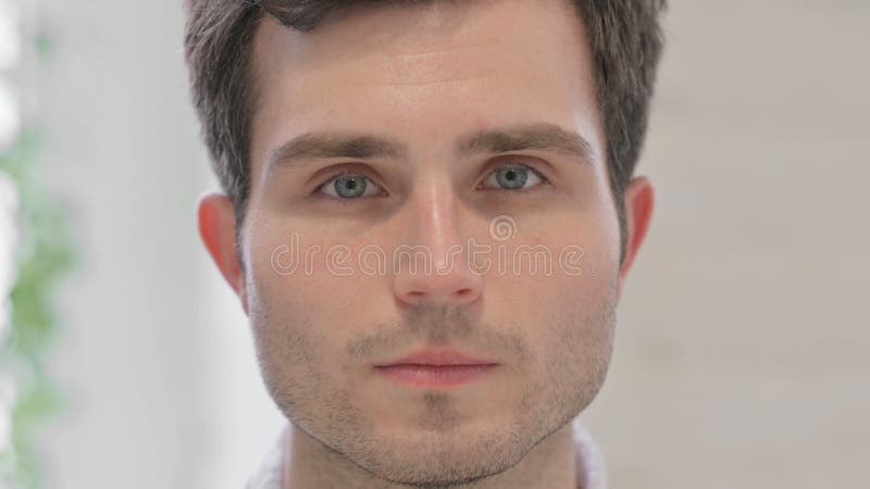 Face Close Up of Man Looking at the Camera Stock Image - Image of ...