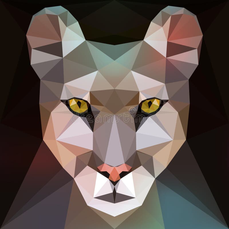 Face of a cougar (puma) stock vector. Illustration of american - 64113613