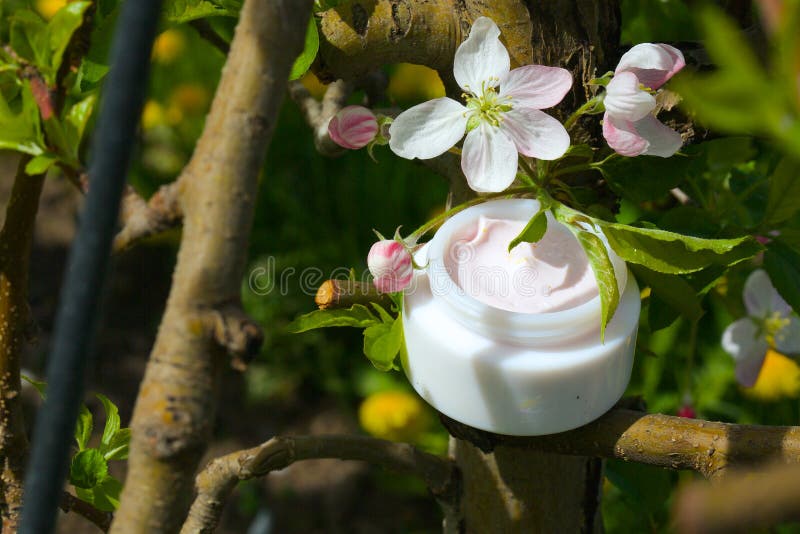 Face cream stock image. Image of care, natural, skin - 59811199