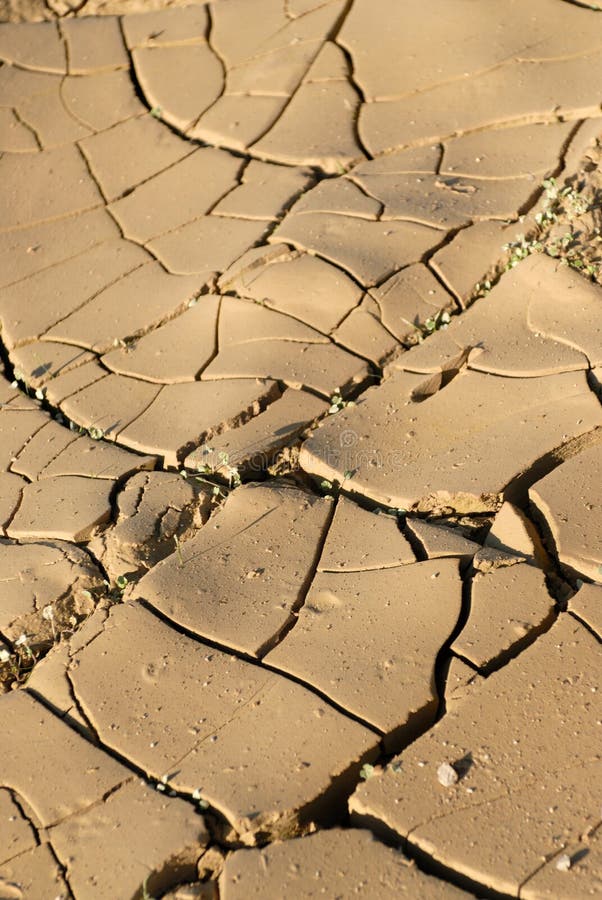 Face of desert stock image. Image of israel, ground, fissure - 5799799