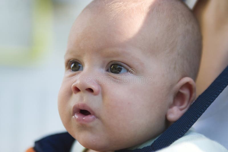Bebê Calvo Que Olha Ao Lado Imagem de Stock - Imagem de lateralmente ...