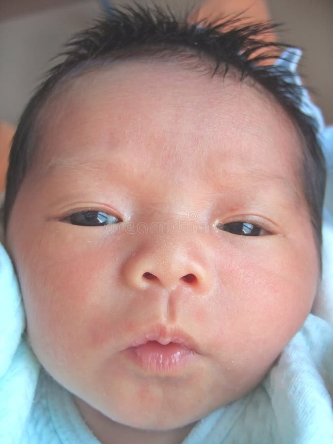 Face do bebê imagem de stock. Imagem de maxila, beleza - 6184701