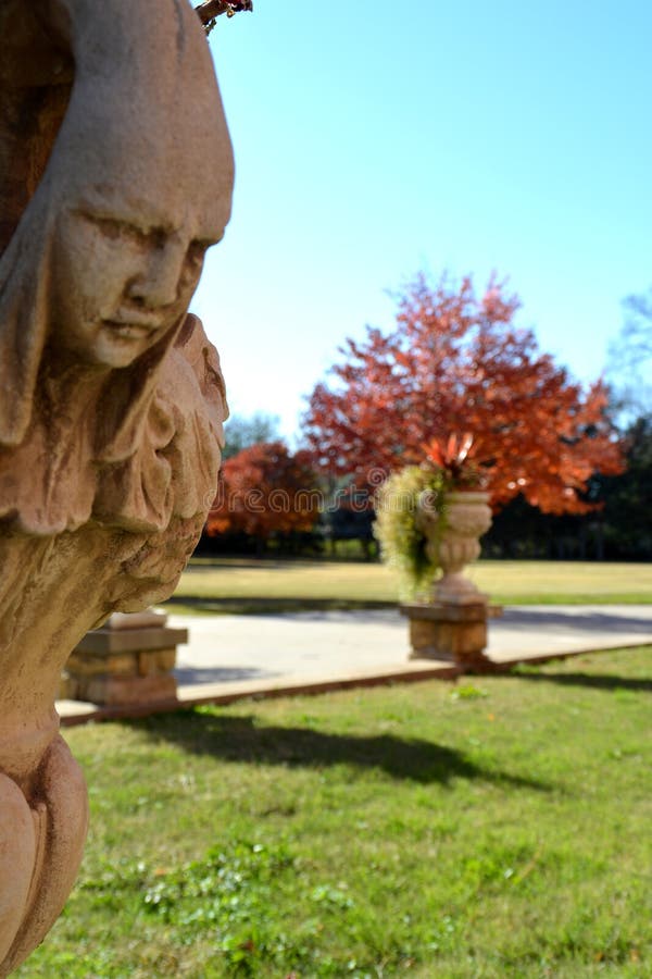 Face on Flower Pot editorial photo. Image of trees, green - 54858026