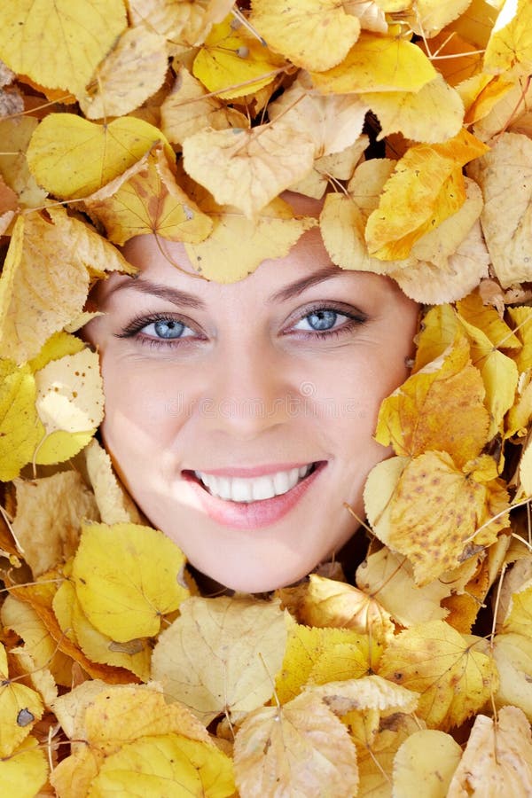 Face in foliage stock image. Image of golden, color, head - 16332299