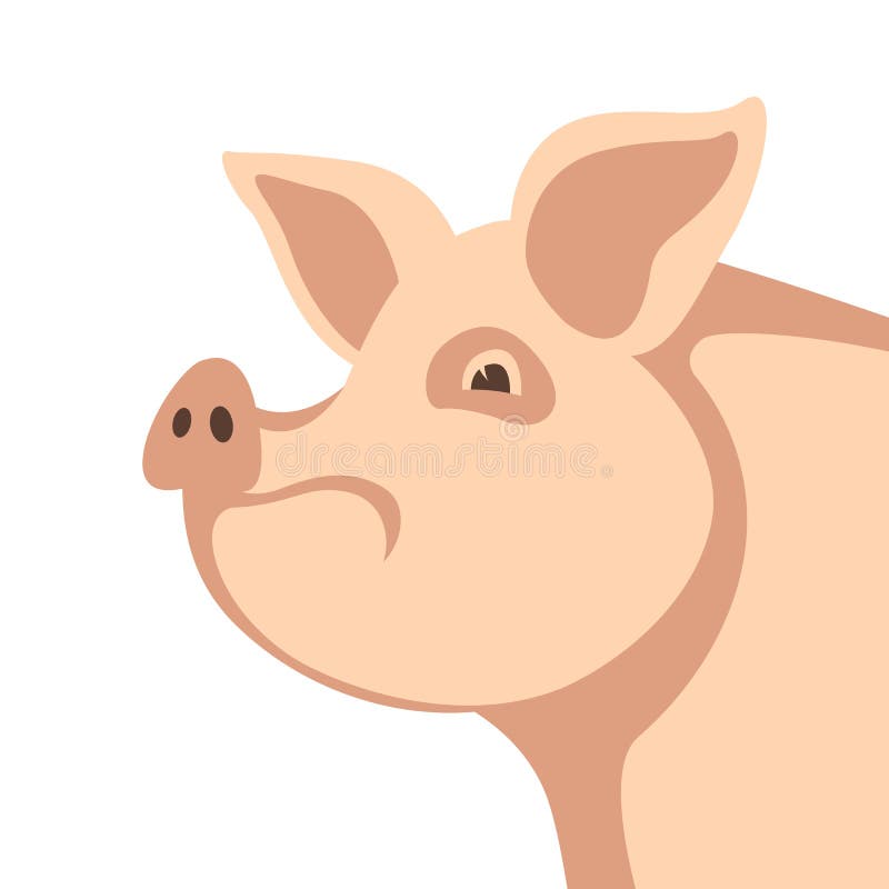 Cartoon Pig Side View