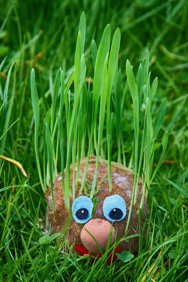 Face with grass hair stock image. Image of herb, botany - 19505891