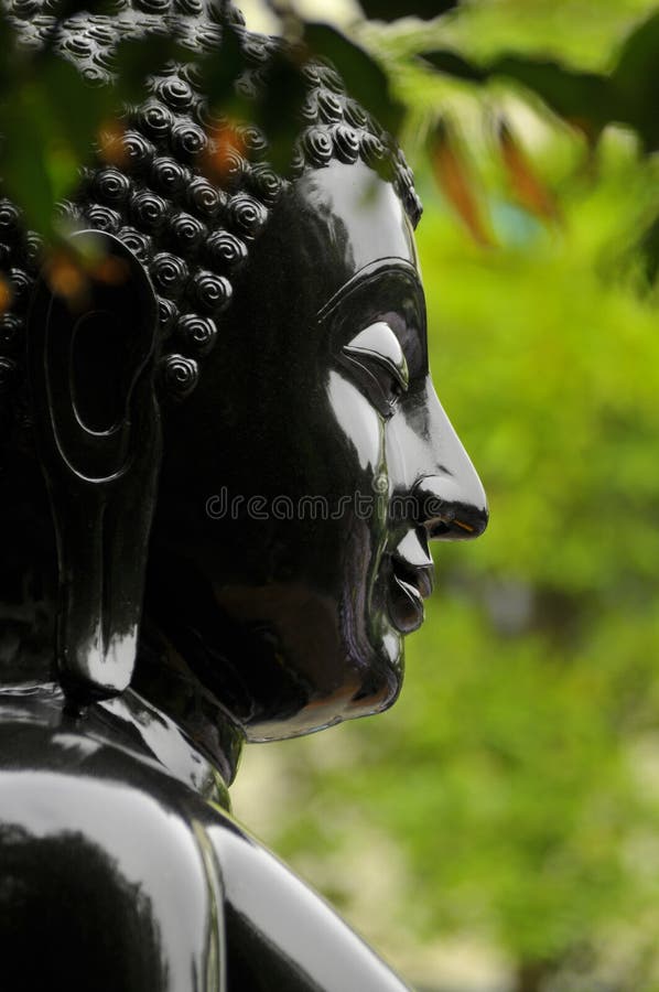 Beside the Face of a Large Black Stone Buddha, a Green Scene. Stock ...