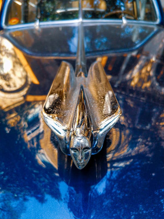 Face of a man shaped logo editorial stock image. Image of face - 206823139