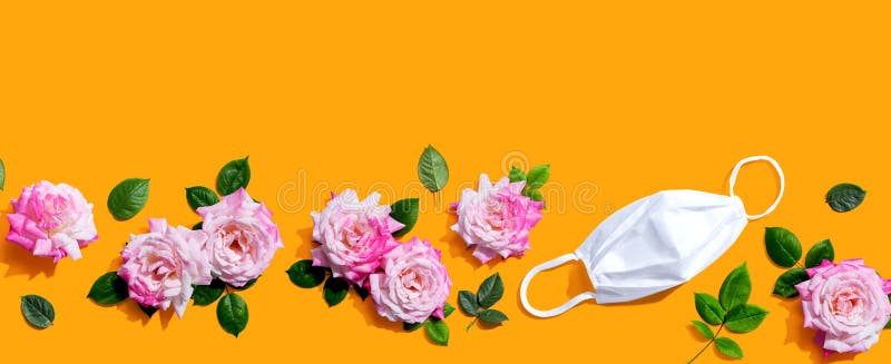 Face Mask with Pink Roses Overhead View Stock Photo - Image of pretty ...