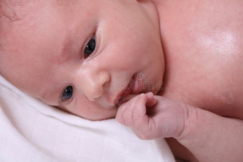 Face of newborn stock photo. Image of face, infant, closeups - 11040386