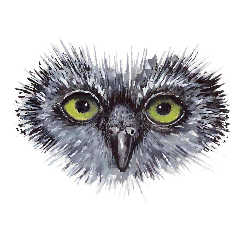 Face Owl Concept Design. Bird are Isolated on Stock Vector ...