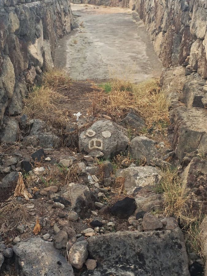 Face of a Pig Marked on a Rock Stock Photo - Image of face, stone: 92132760