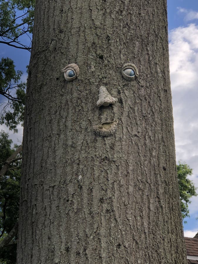Face placed on tree stock image. Image of nose, tree - 250123175