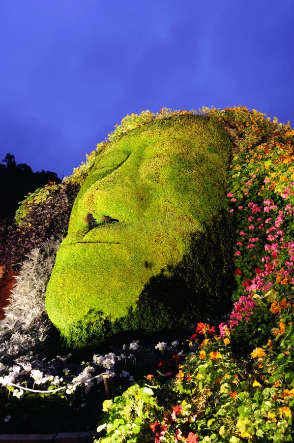 Face plant stock photo. Image of face, macro, flower - 15136428