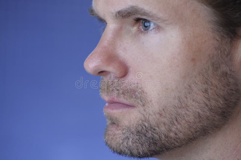 Face profile stock image. Image of mouth, focus, brow - 17580535