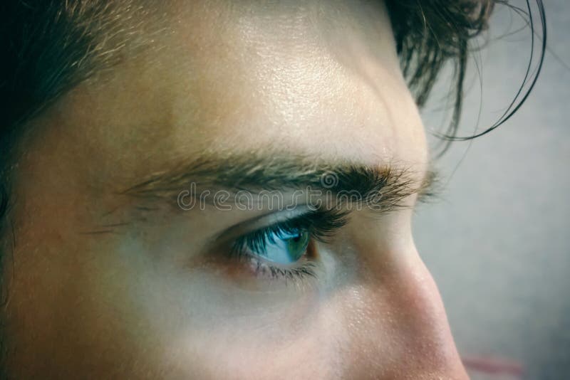 Face in Profile of a Young Man Stock Image - Image of male, confident ...