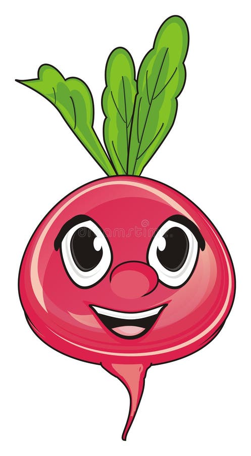 Face of radish stock illustration. Illustration of vegetarian - 89789704