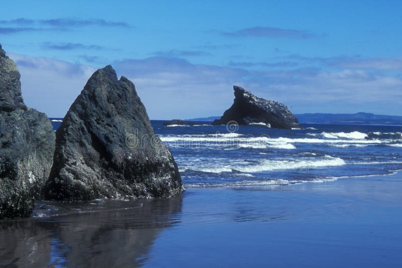 Face Rock Beach Seastacks stock photo. Image of gull - 13186194