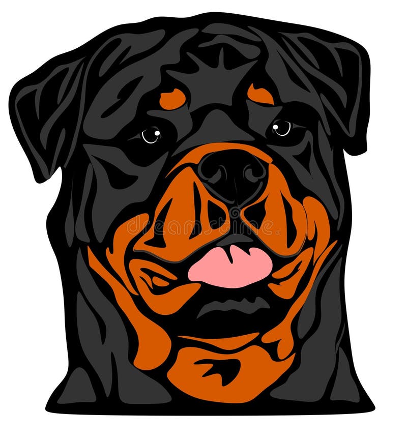 Angry Rottweiler Drawing
