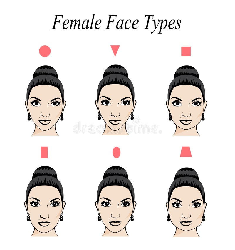 Face shape stock vector. Illustration of ellipse, females - 53216291