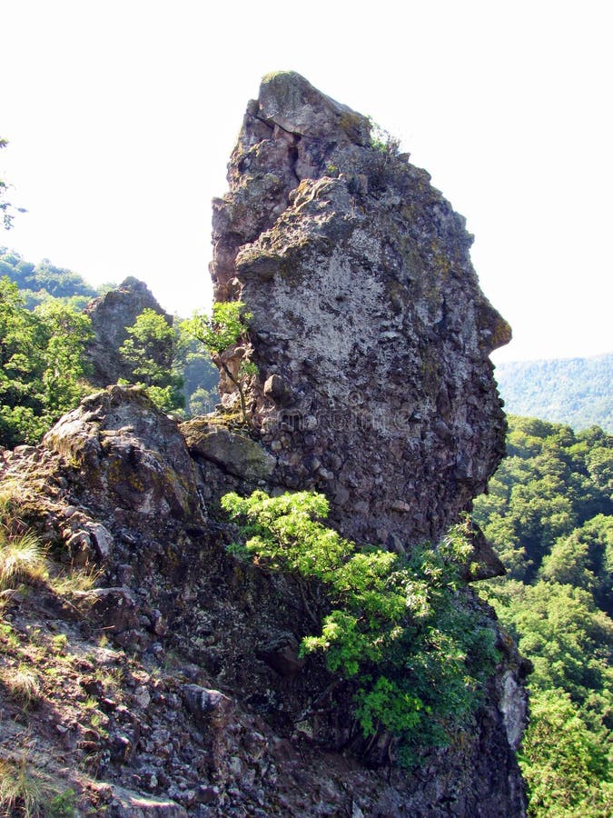 Face Shaped Rock on a Hill in Hungary Stock Photo - Image of tree ...