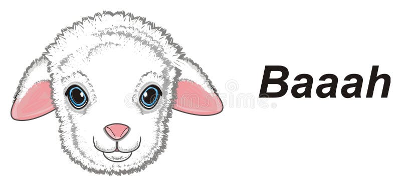 Face of Sheep and Word Baaah Stock Illustration - Illustration of ...