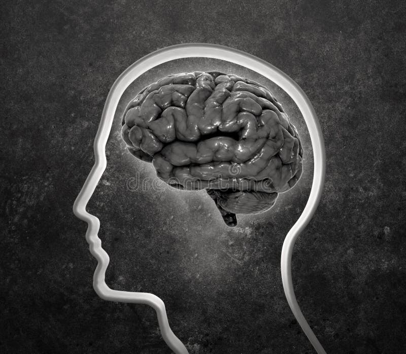 Face Silhouette with a Brain Inside Stock Illustration - Illustration ...
