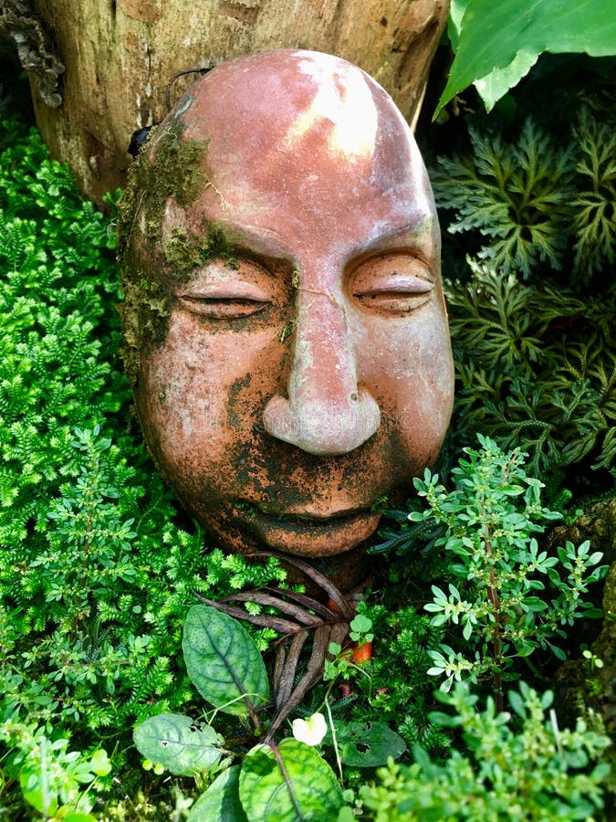 Face statue stock photo. Image of plant, statue, funny - 168027702