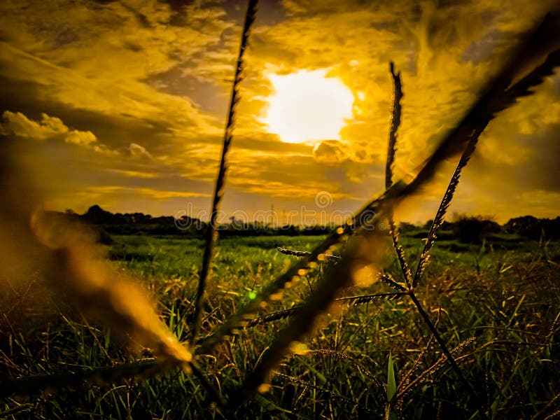 The Face of the Sun at the End of the Day Stock Image - Image of ...