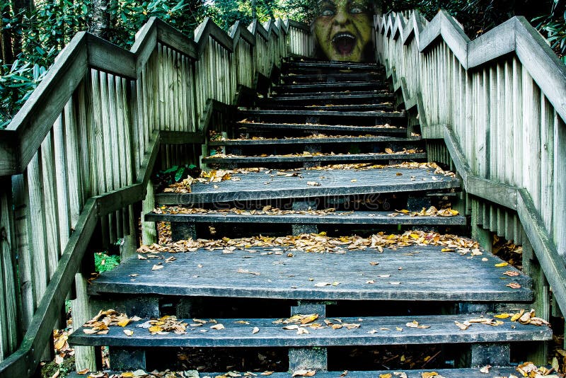 Face at the Top of the Stairs Stock Image - Image of ascend, risers ...