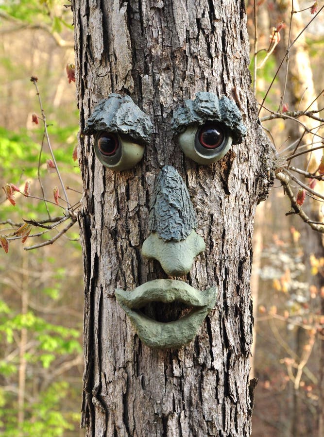 Face tree stock photo. Image of nose, leaf, woods, halloween - 14009884