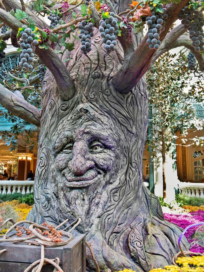 Face in the tree editorial stock image. Image of nevada - 27878074