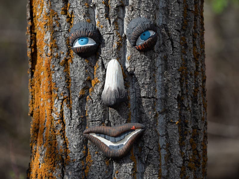 Face on a tree stock photo. Image of trunk, unusual - 183015422