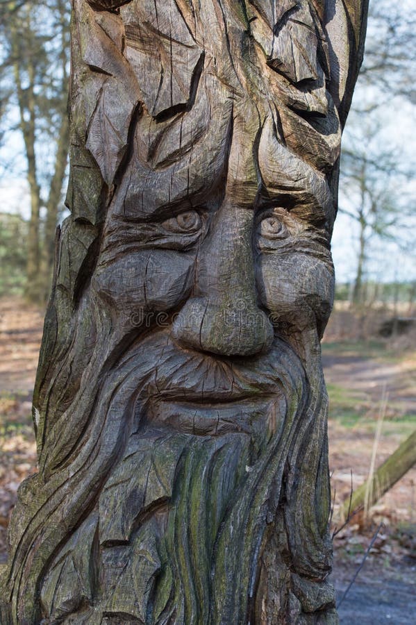 Face in tree stock image. Image of wood, carved, nature - 45618817