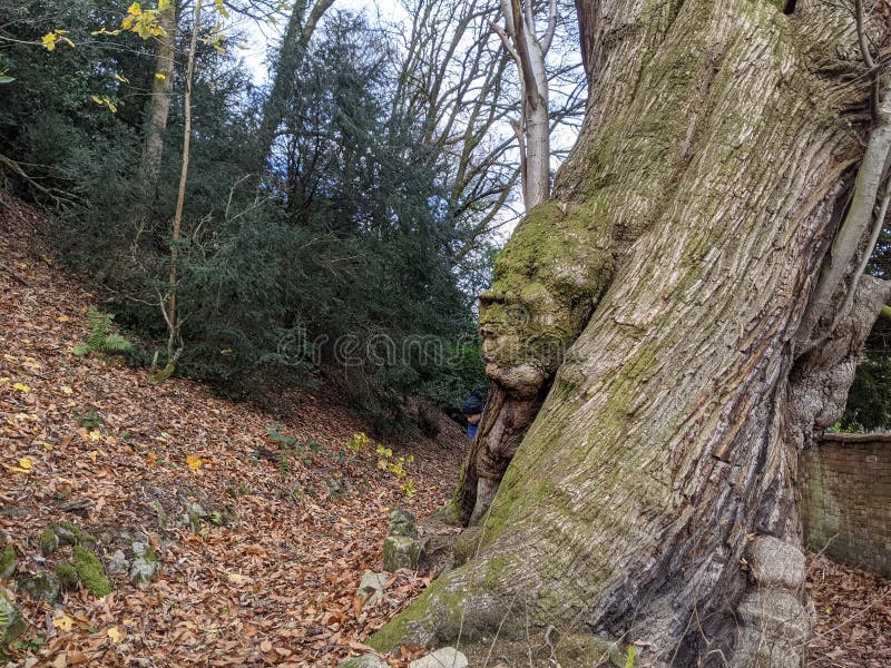 Likeness Organic Plants Stock Photos - Free & Royalty-Free Stock Photos ...