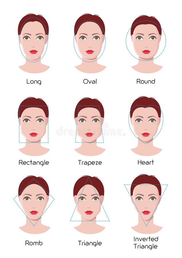 Face type infographics stock vector. Illustration of avatar - 74362122
