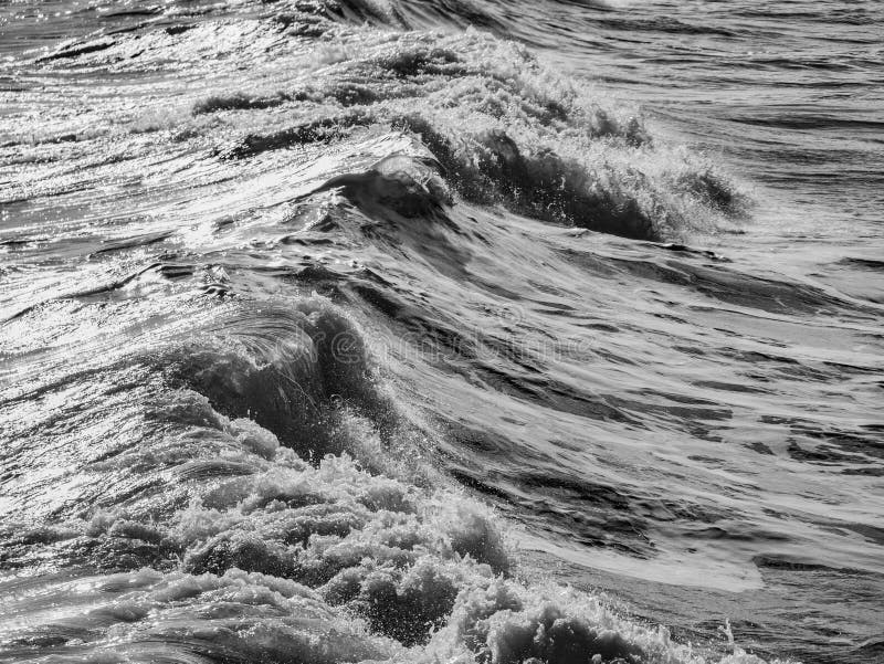 Black and white wave face stock image. Image of water - 121454505